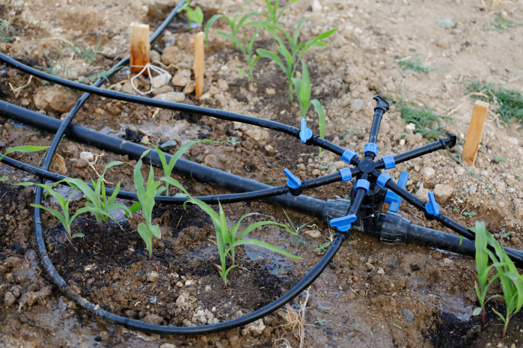 Irrigation System – Blossom Landscape